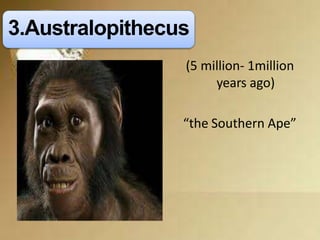 Biological and cultural evolution from australophitecus to homosapiens.pptx