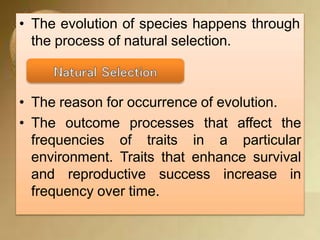 Biological and cultural evolution from australophitecus to homosapiens.pptx
