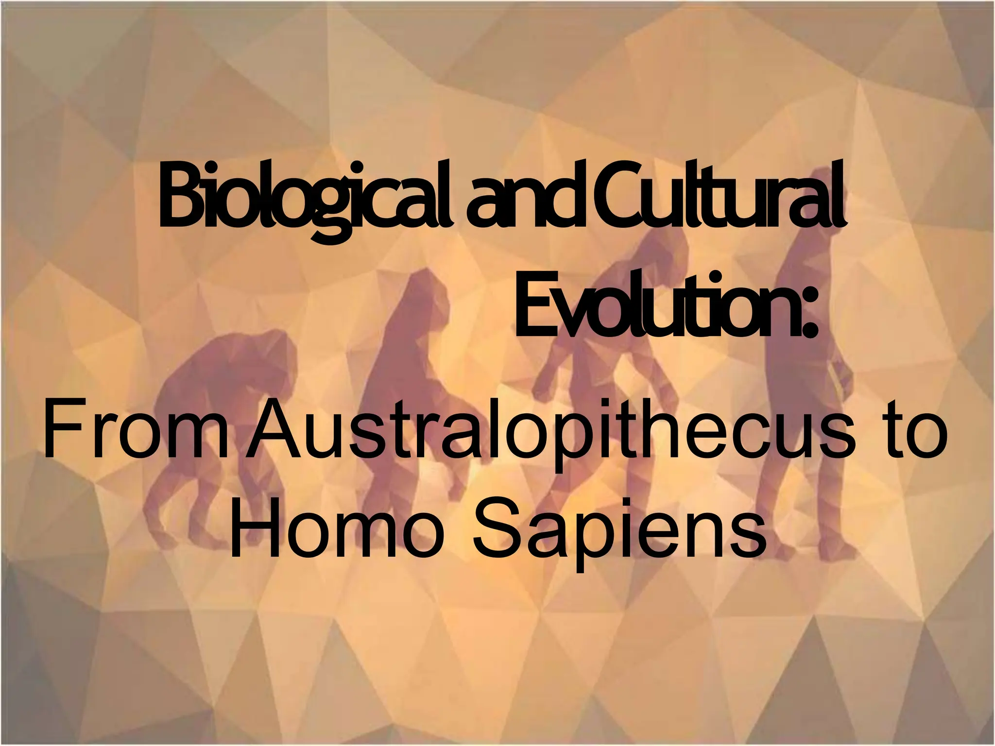 Biological and Cultural Evolution from Australophitecus to Homosapiens.pptx