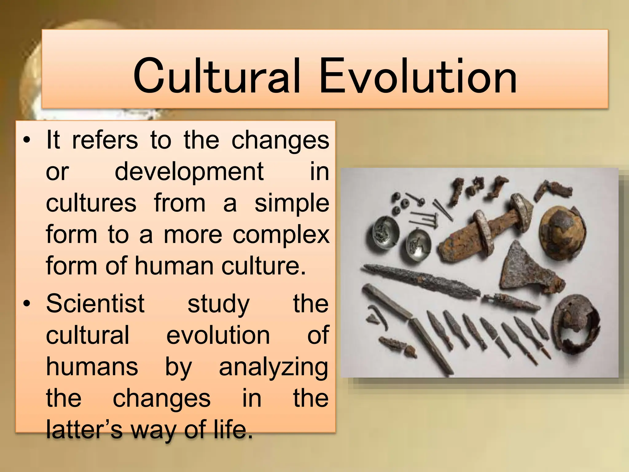 Biological and Cultural Evolution from Australophitecus to Homosapiens ...