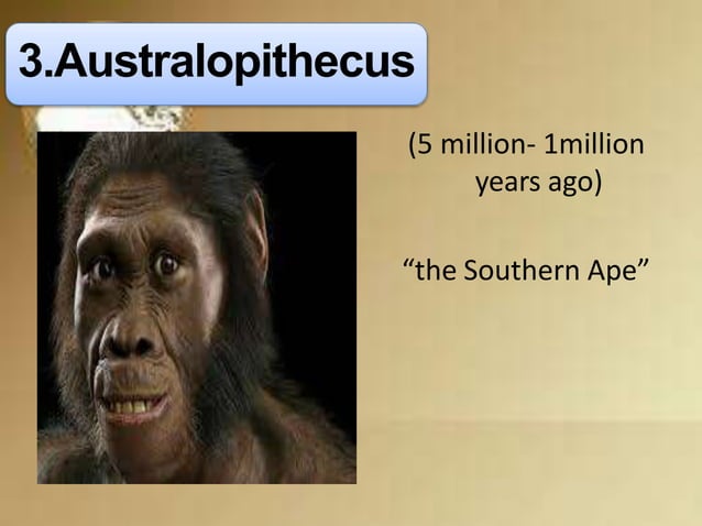 Biological and Cultural Evolution from Australophitecus to Homosapiens ...