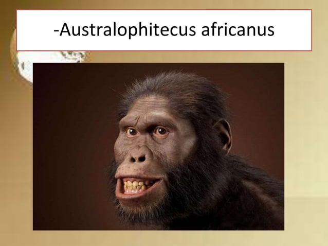 Biological and Cultural Evolution from Australophitecus to Homosapiens ...