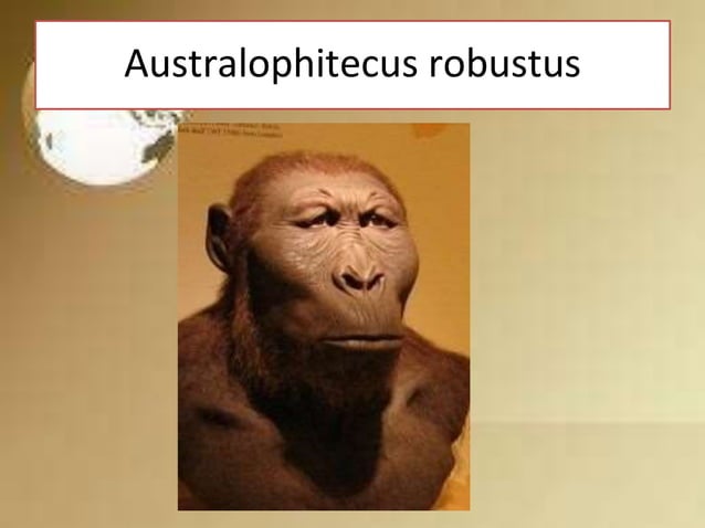Biological and Cultural Evolution from Australophitecus to Homosapiens ...