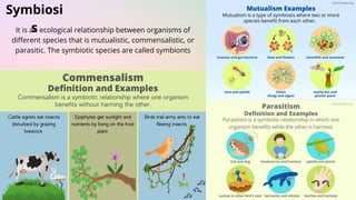 Biological and evolutionary basis of behaviour_20231220_130204_0000.pptx