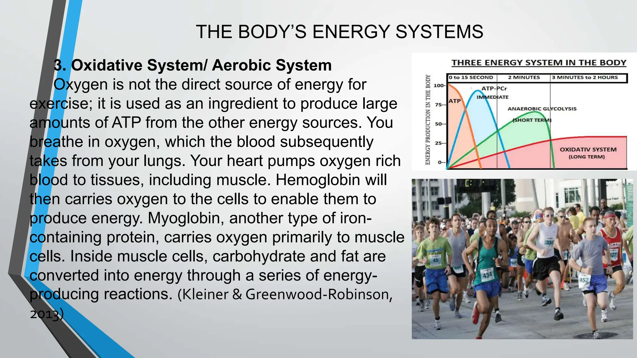 Biological and Physiological Foundation of Physical Education.pptx