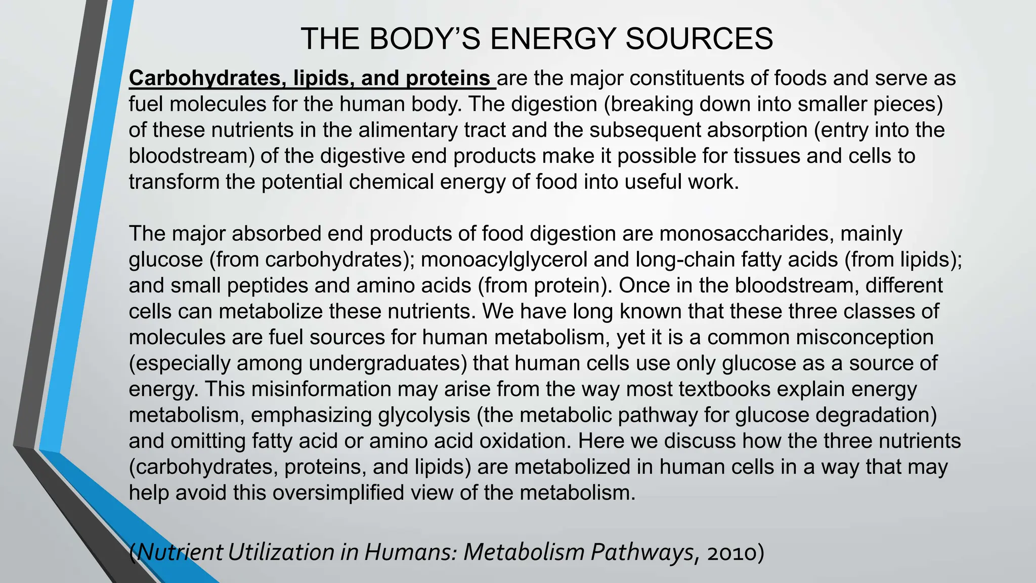 Biological and Physiological Foundation of Physical Education.pptx