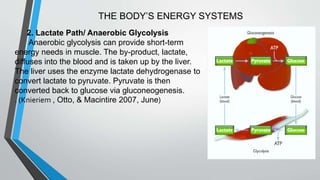 Biological and Physiological Foundation of Physical Education.pptx