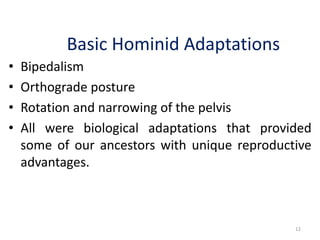 THE BIOLOGICAL ANTHROPOLOGY CLASSpdf.pptx