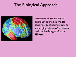 Biological approach: Depression | PPT | Brain and Nervous System ...