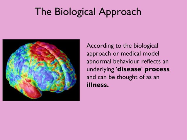 Biological approach: Depression | PPT