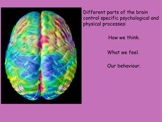 Biological approach: Depression | PPT