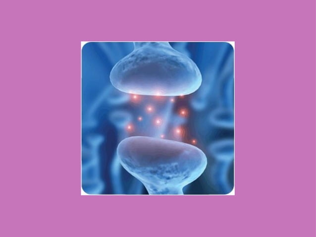 Biological approach: Depression | PPT