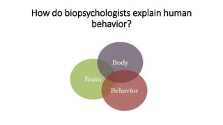 Biological approach in psychology | PPTX