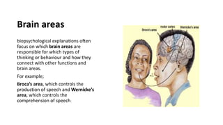 Biological approach in psychology | PPTX