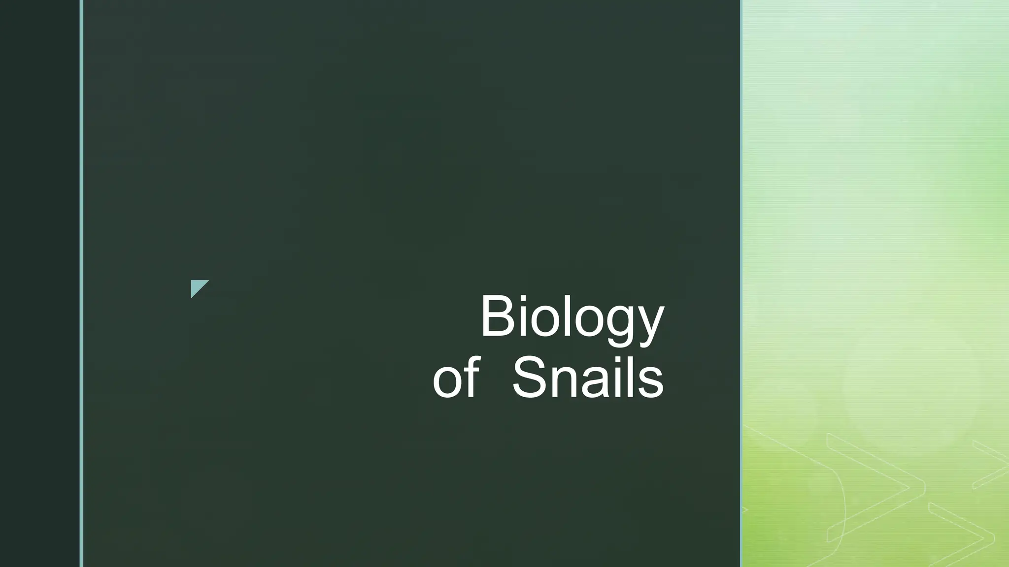 Biological Aspects of Snails in the Human world.pptx
