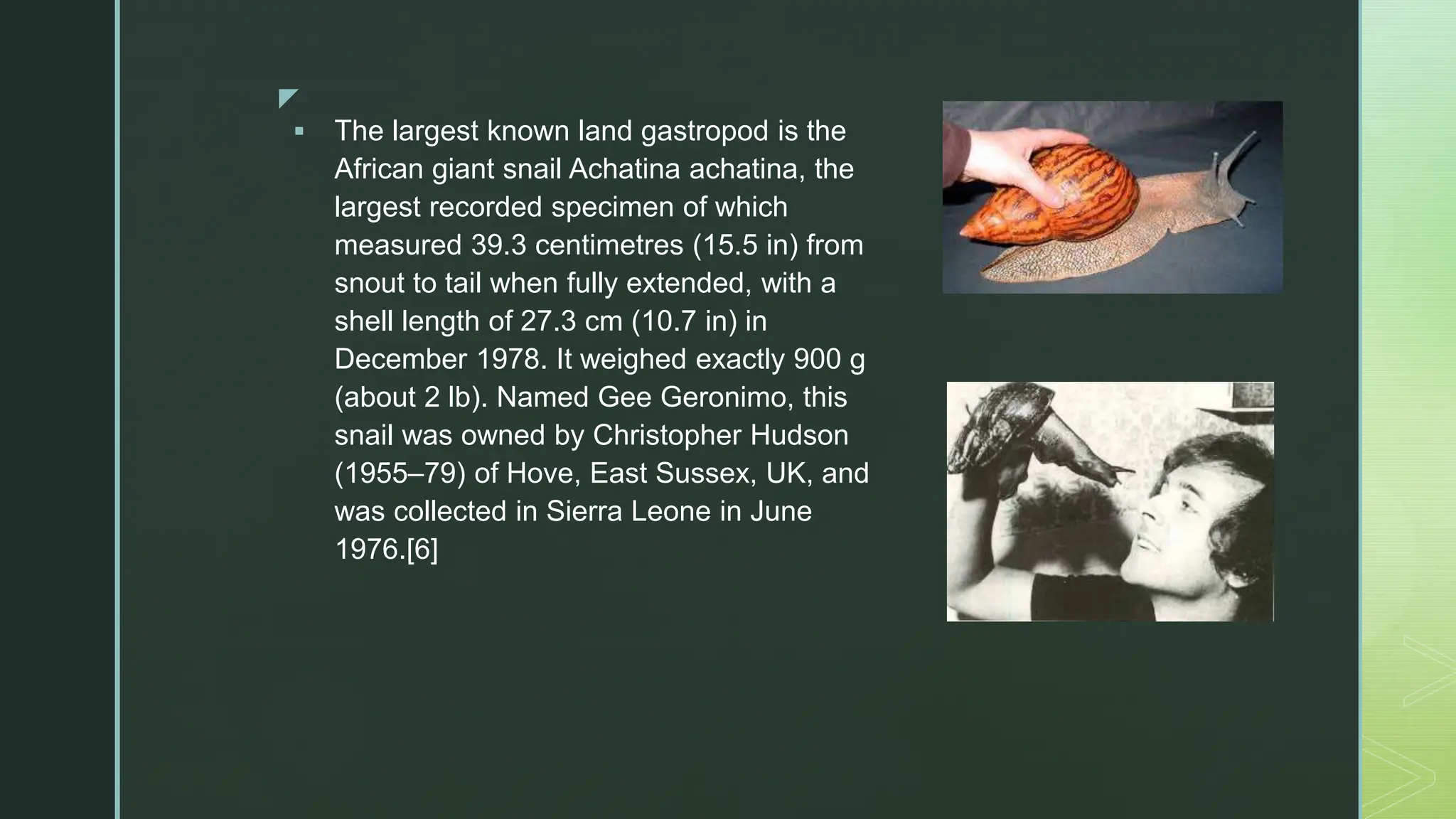 Biological Aspects of Snails in the Human world.pptx