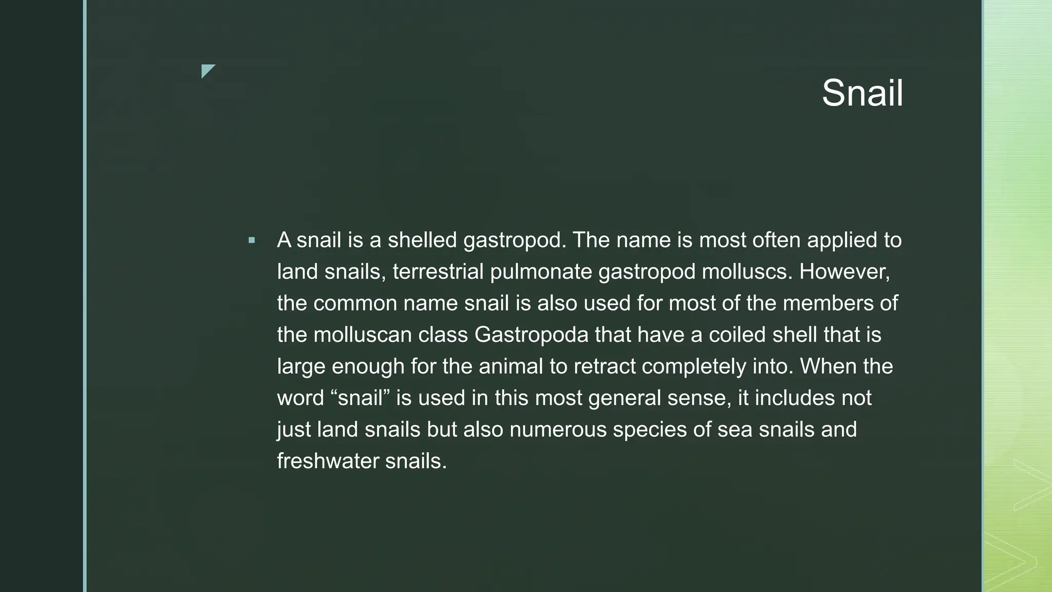 Biological Aspects of Snails in the Human world.pptx