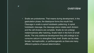 Biological Aspects of Snails in the Human world.pptx
