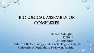 Biological assembly or complexes | PPT