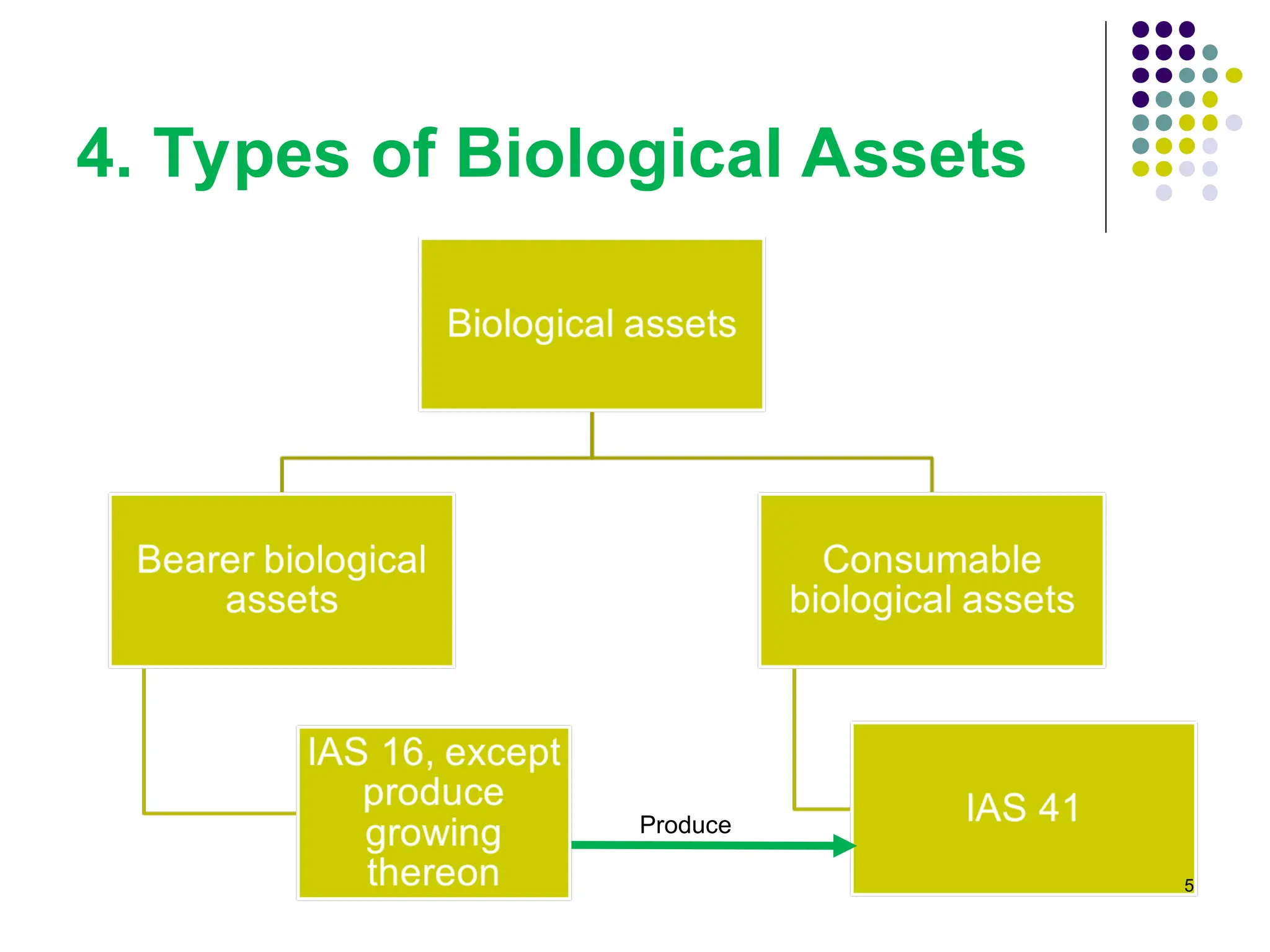 Biological Assets and agricultural aasset | PPT