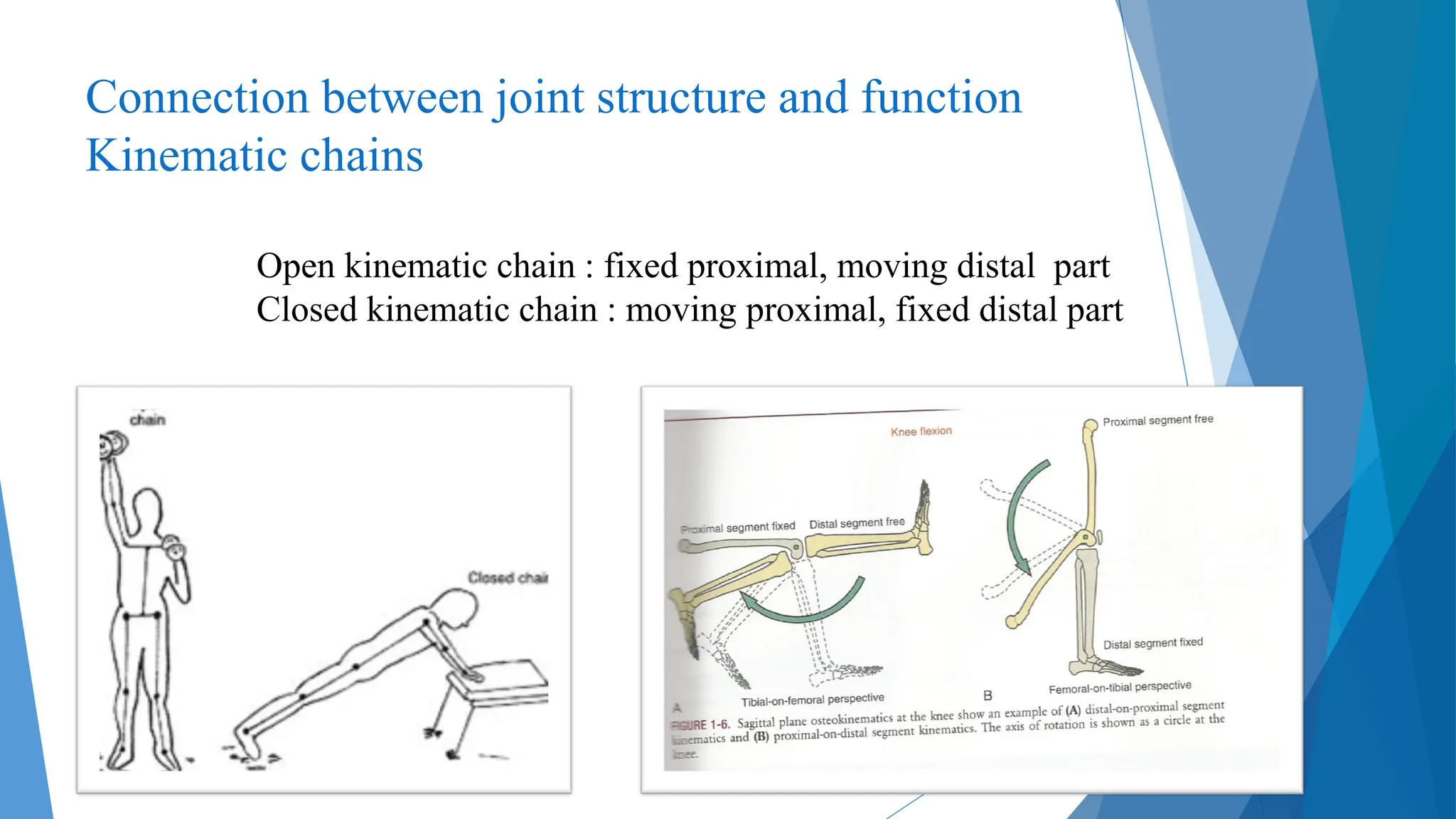Biological basics of movements Passive movement system Types of joints.pdf