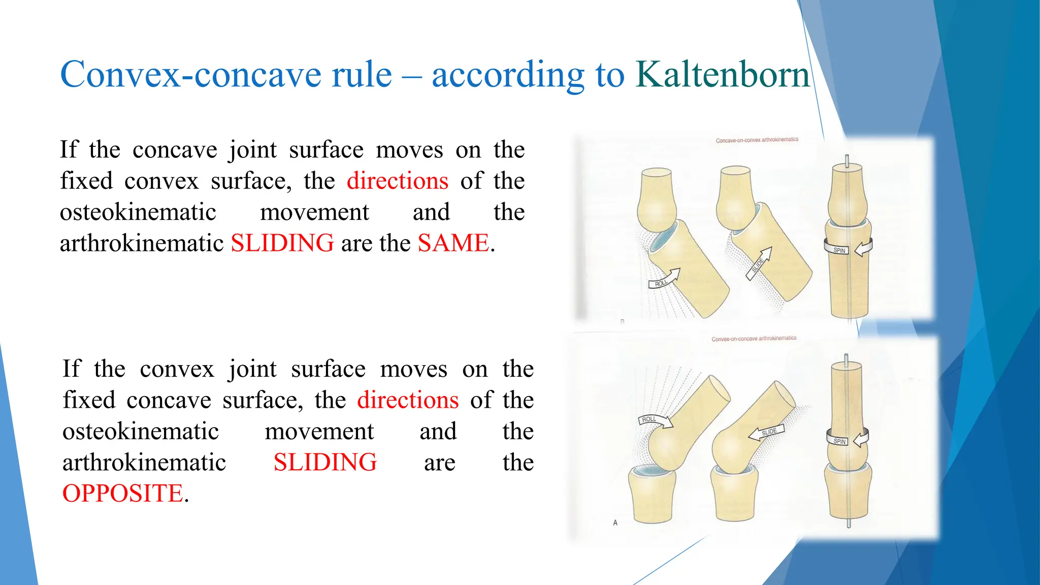 Biological basics of movements Passive movement system Types of joints.pdf