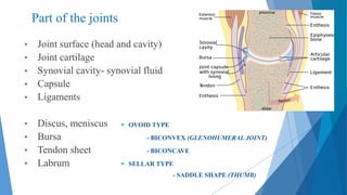Biological basics of movements Passive movement system Types of joints.pdf