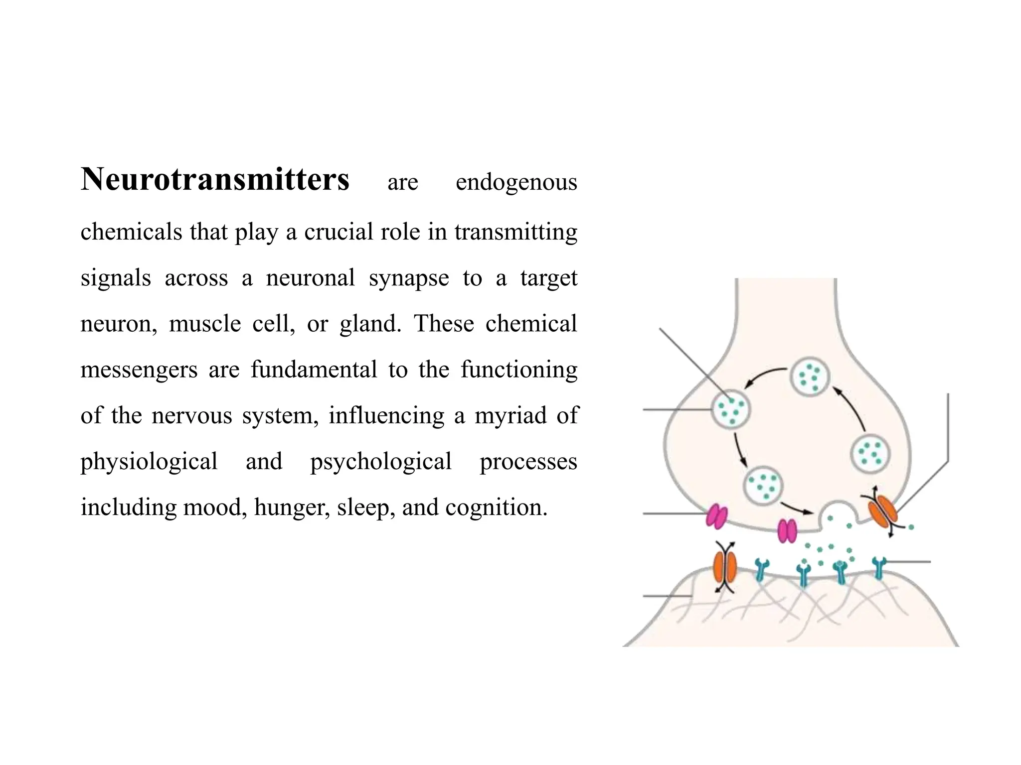 Biological basis of behaviour for psychology students.pptx