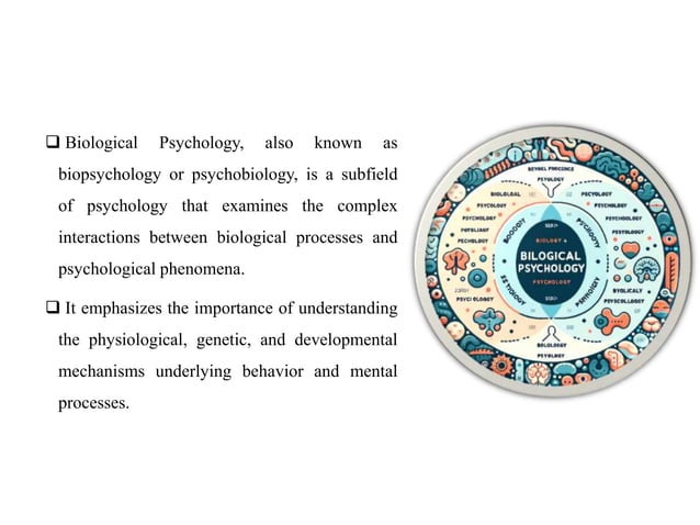 Biological basis of behaviour for psychology students.pptx | Free Download