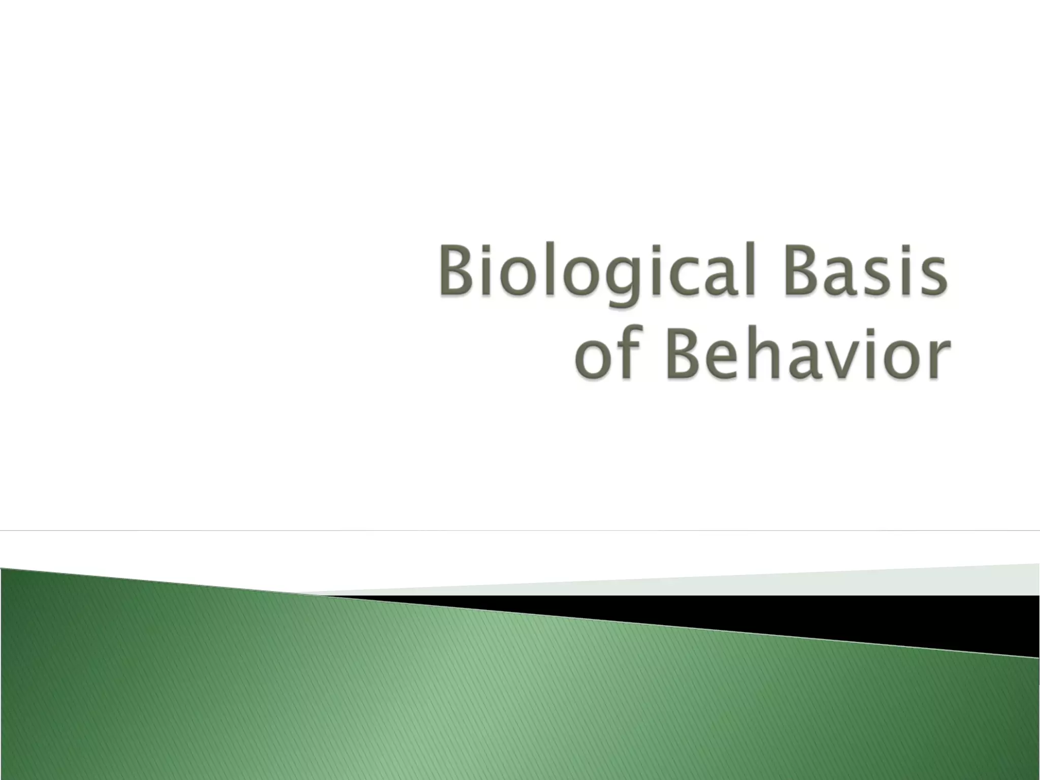 Biological basis of behavior (new) | PPT