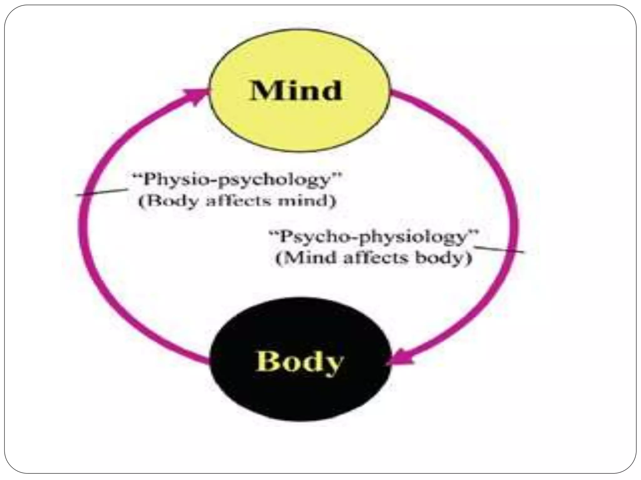 Biological Basis of Behavior unit 2.pptx