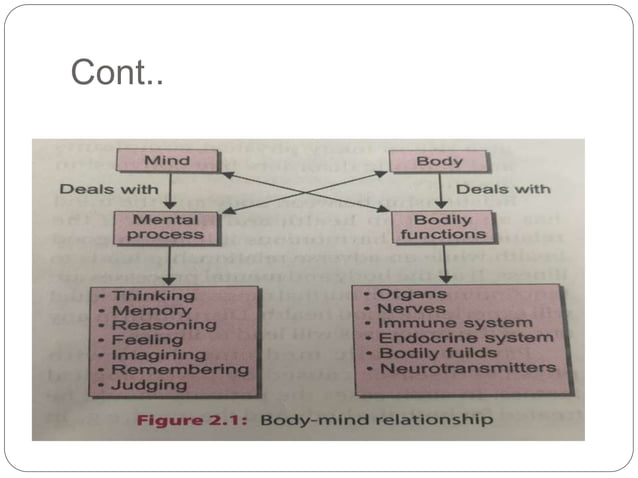 Biological Basis of Behavior unit 2.pptx