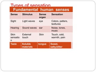 Biological Basis of Behavior unit 2.pptx