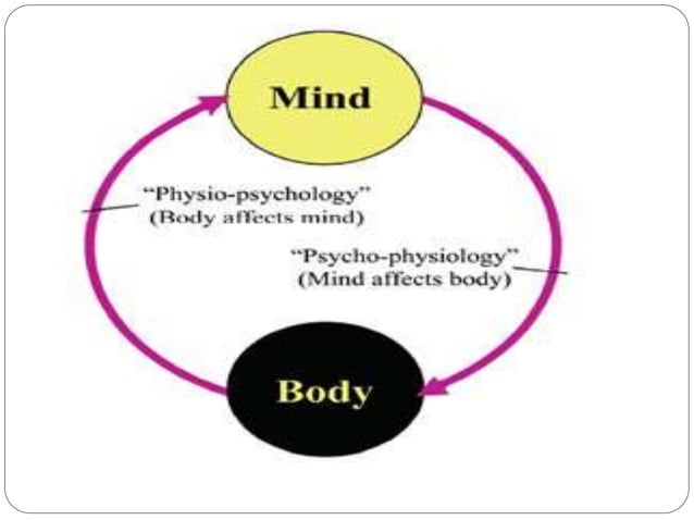 Biological Basis of Behavior unit 2.pptx