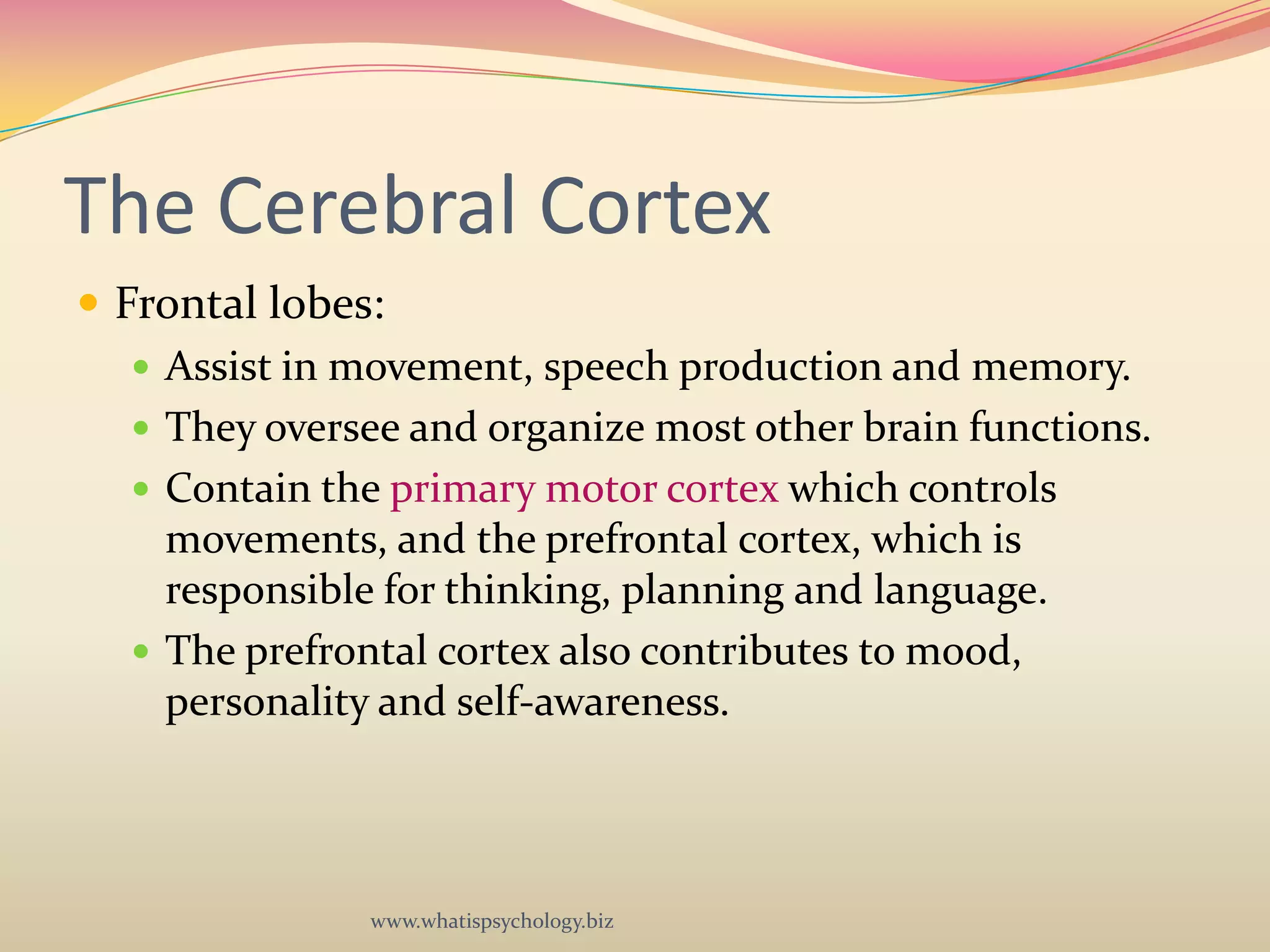 Psych 101 - Introduction to Psychology - Lecture 3 | PPTX