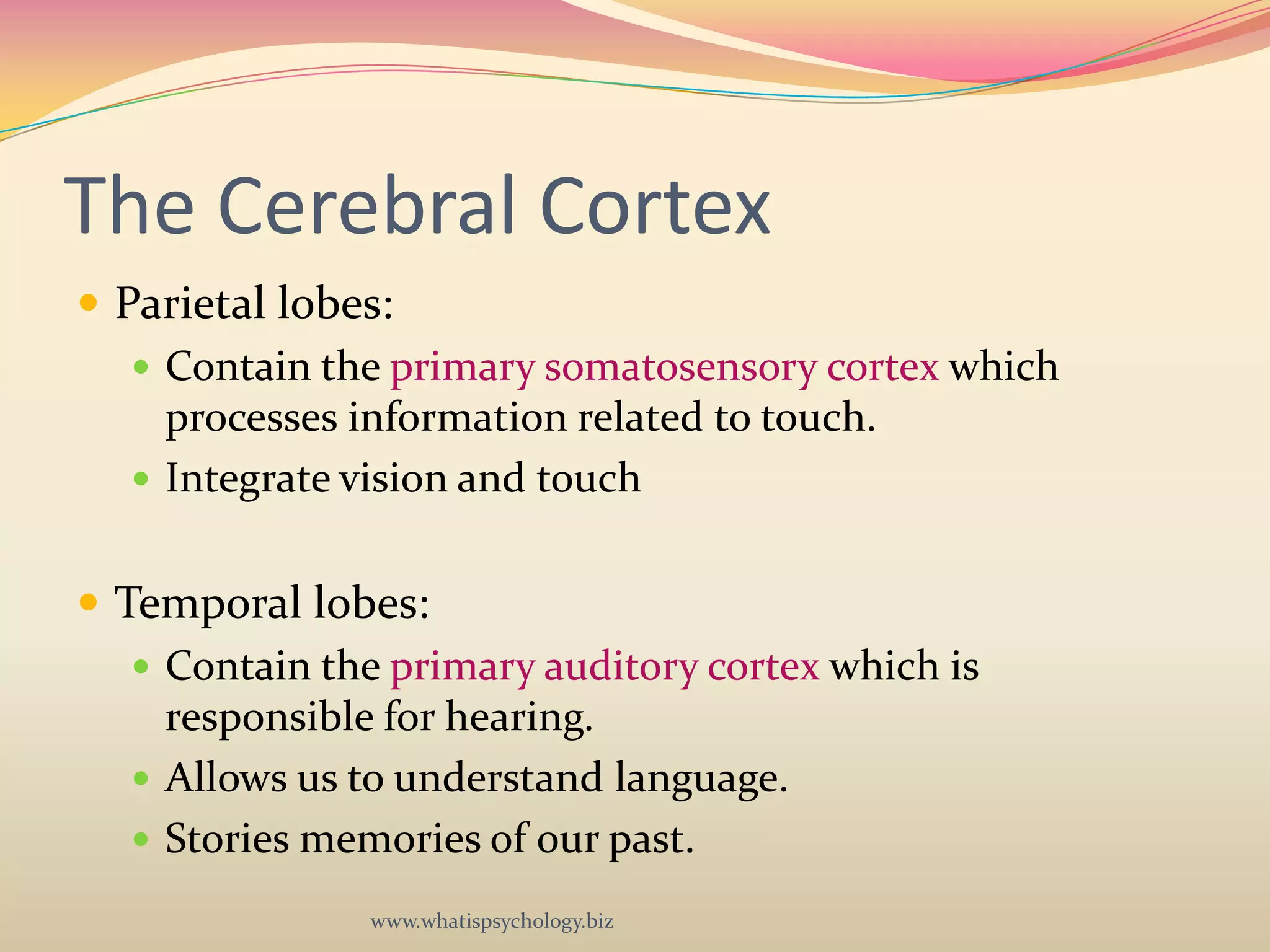 Psych 101 - Introduction to Psychology - Lecture 3 | PPTX