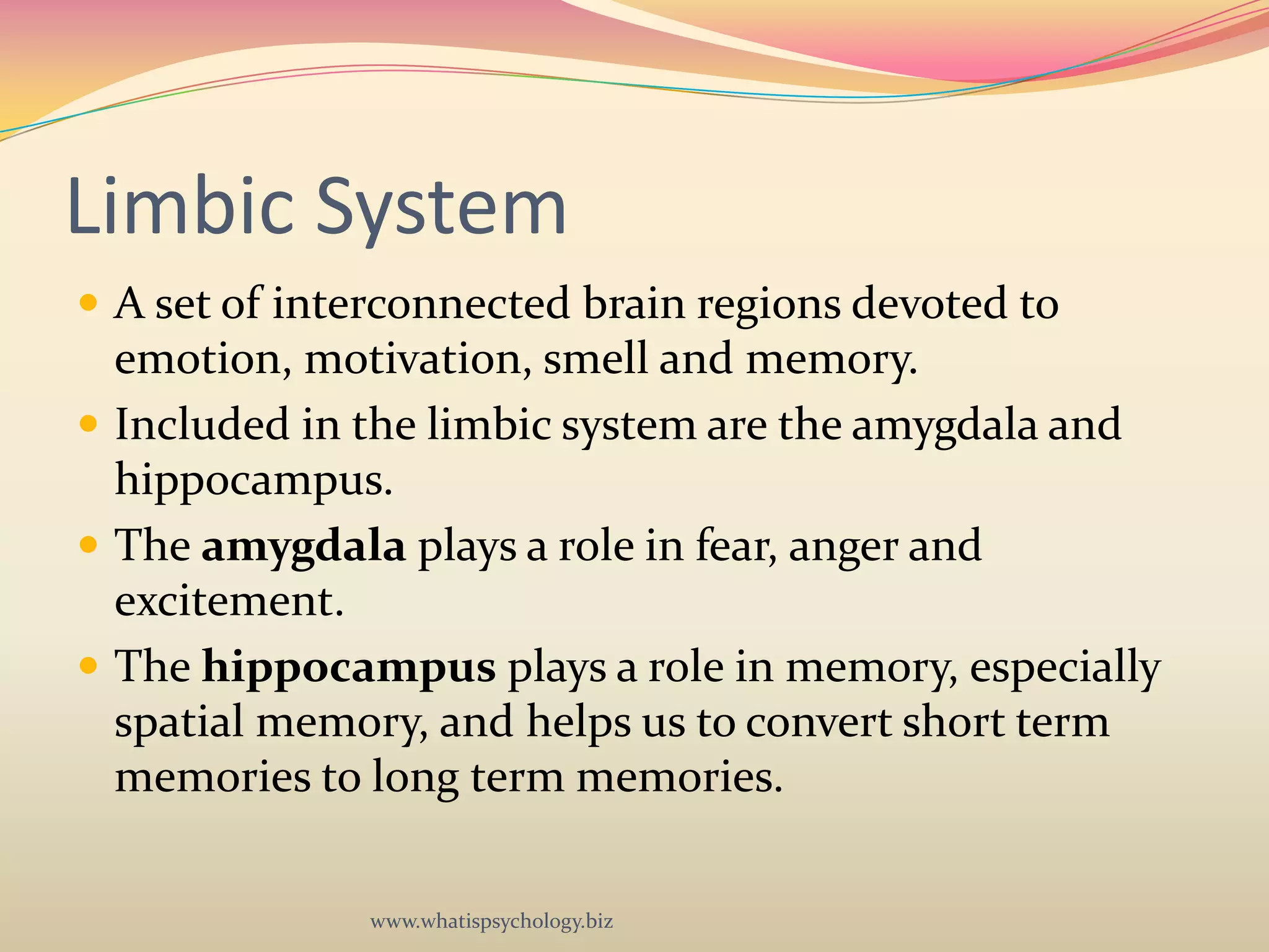 Psych 101 - Introduction to Psychology - Lecture 3 | PPTX