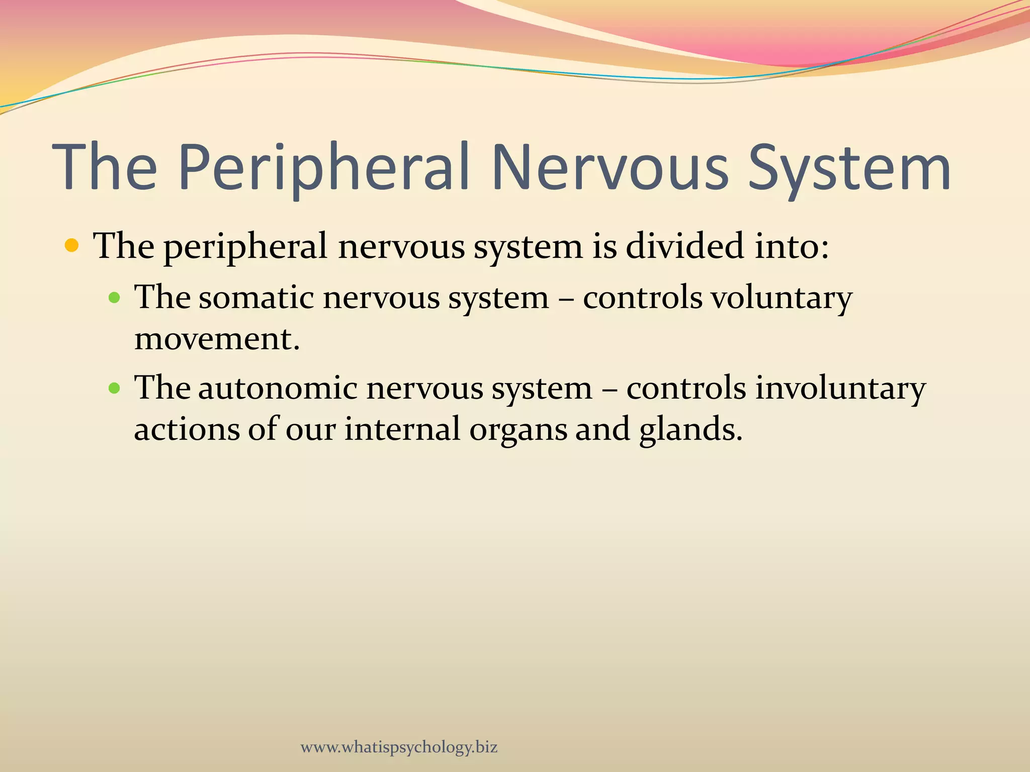 Psych 101 - Introduction to Psychology - Lecture 3 | PPTX