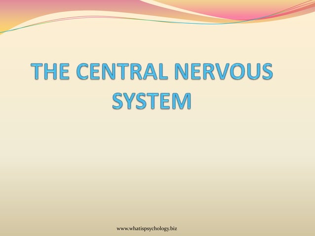 Psych 101 - Introduction to Psychology - Lecture 3 | PPTX | Brain and Nervous System Disorders ...