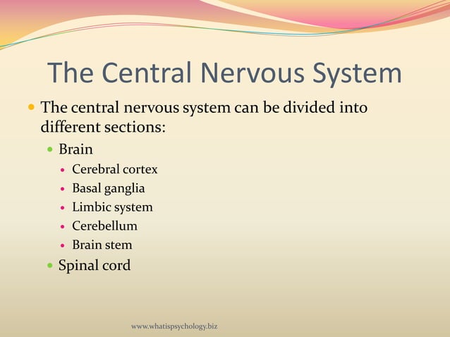 Psych 101 - Introduction to Psychology - Lecture 3 | PPTX | Brain and Nervous System Disorders ...