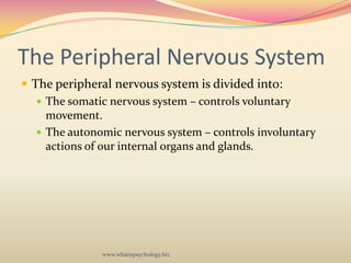 Psych 101 - Introduction to Psychology - Lecture 3 | PPTX