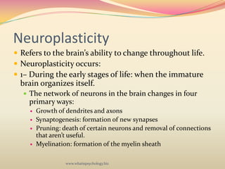 Psych 101 - Introduction to Psychology - Lecture 3 | PPTX