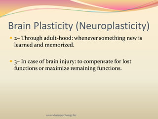Psych 101 - Introduction to Psychology - Lecture 3 | PPTX