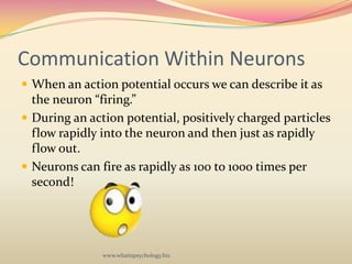 Psych 101 - Introduction to Psychology - Lecture 3 | PPTX