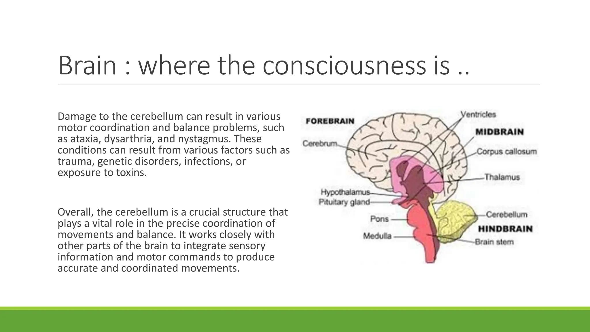 Biological basis of Behaviour of Humans. | PPT
