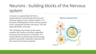 Biological basis of Behaviour of Humans. | PPT