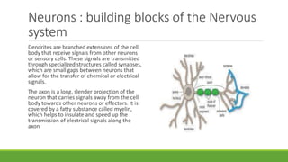 Biological basis of Behaviour of Humans. | PPT