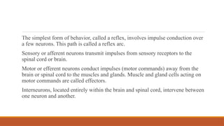 biological basis of behaviour.The Neuron—Unit of Structure and Function ...