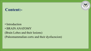 Biological basis of behaviour- Anatomy.pptx
