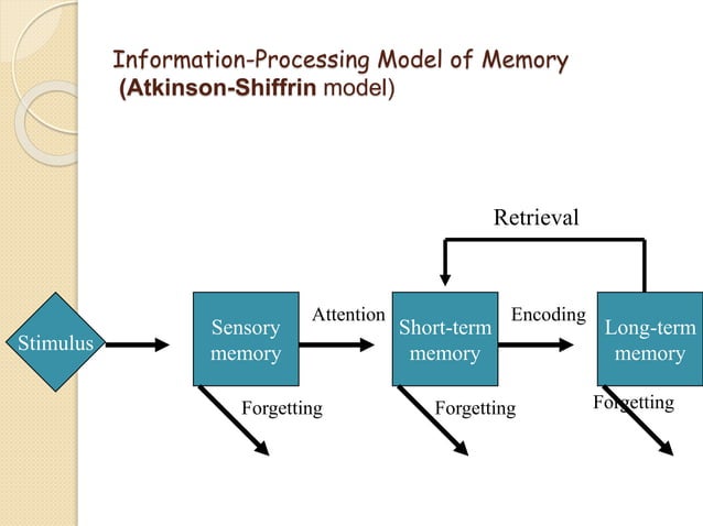 Biological basis of memory | PPTX